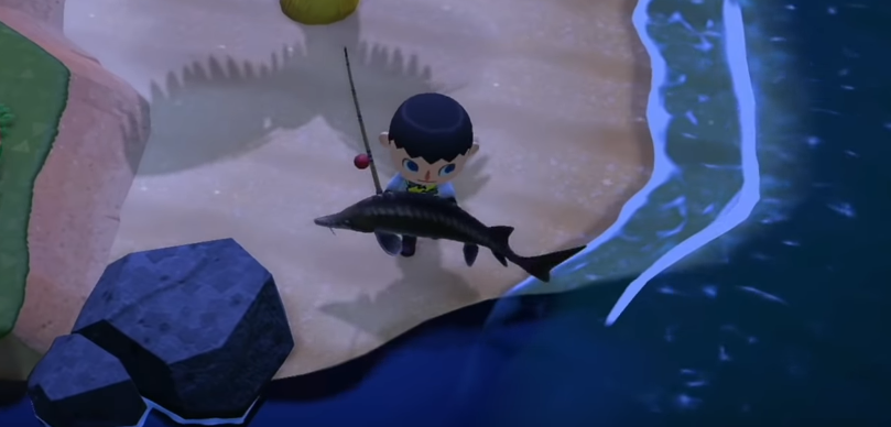 How to Catch the Best Rare Fish in Animal Crossing: New Horizons