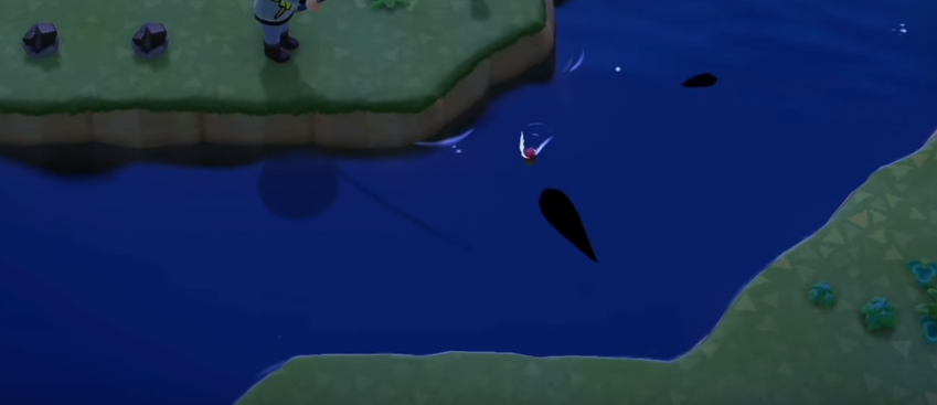 How to Catch the Best Rare Fish in Animal Crossing: New Horizons