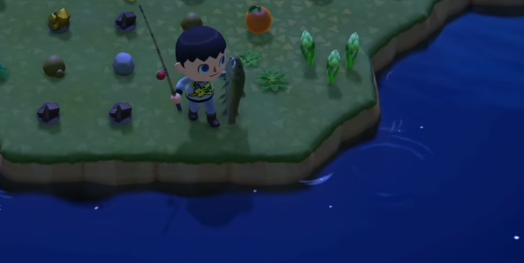 How to Catch the Best Rare Fish in Animal Crossing: New Horizons
