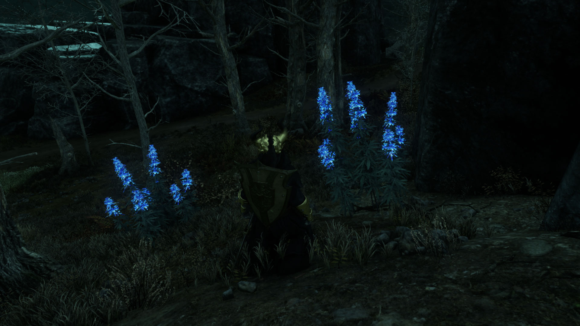 Where to find Silkweed in New World - Gamer Journalist