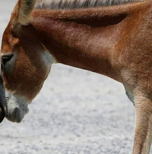 Best Matching PFPs for Couples - Gamer Journalist